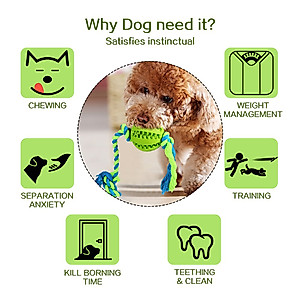 CHLEBEM Puppy Toys Interactive Dog Toys Balls for Small Medium Dogs Chew Teething Teeth Cleaning Treat Dispensing Durable Rubber Ball Dog Rope Toy for Tug of War Playing(Green)