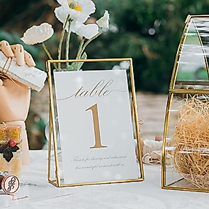 NCYP Glass Table Signs for Wedding - Small 5x7 Inches Place Card Holder - Gold Glass Photo Frame - Rectangle Display Brass Frame for Pressed Dried Flowers, Centerpiece (Glass Frame Only)