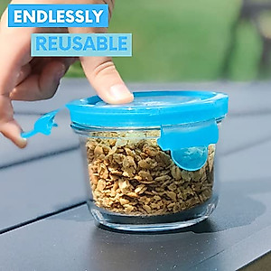 Wean Bowls Glass Food Storage Garden Pack - Pack of Four (4), 5.4 oz round containers Blue, Orange, Green, Grape