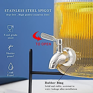 Berglander Glass Drink Dispenser for Fridge, 1 Gallon Beverage Dispenser with Leakproof Stainless Steel Spigot, Water, Laundry Detergent, Juice Dispenser for BBQ, Picnic, Parties and Events (Clear)