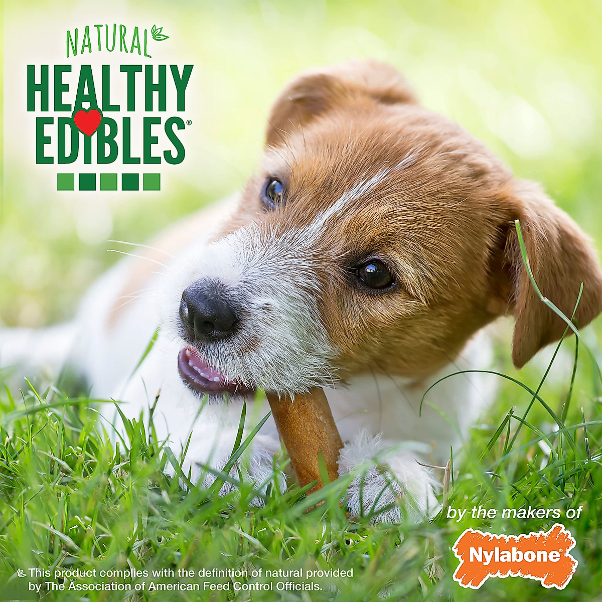 Nylabone Healthy Edibles All-Natural Long Lasting Bacon Flavor Chew Treats 1 count pack of 3 Bacon Small/Regular