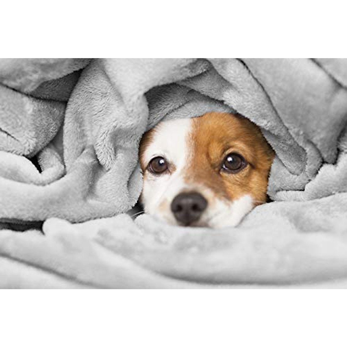 Wolfmark Oversized Sherpa Throw Blanket (60 inches x 72 inches, Grey) | Twin Size Reversible Comfort, Warm & Cozy, Perfectly Plush, Hypoallergenic, Anti-Pill, Micro Mink, Lambswool