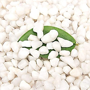 18 Pounds Decorative Pebbles Small White Stones Aquarium Gravel River Rock, Natural Polished Decorative Gravel,Garden Ornamental Pebbles Rocks,White Decorative Stones,White Pebbles, Decor (White)