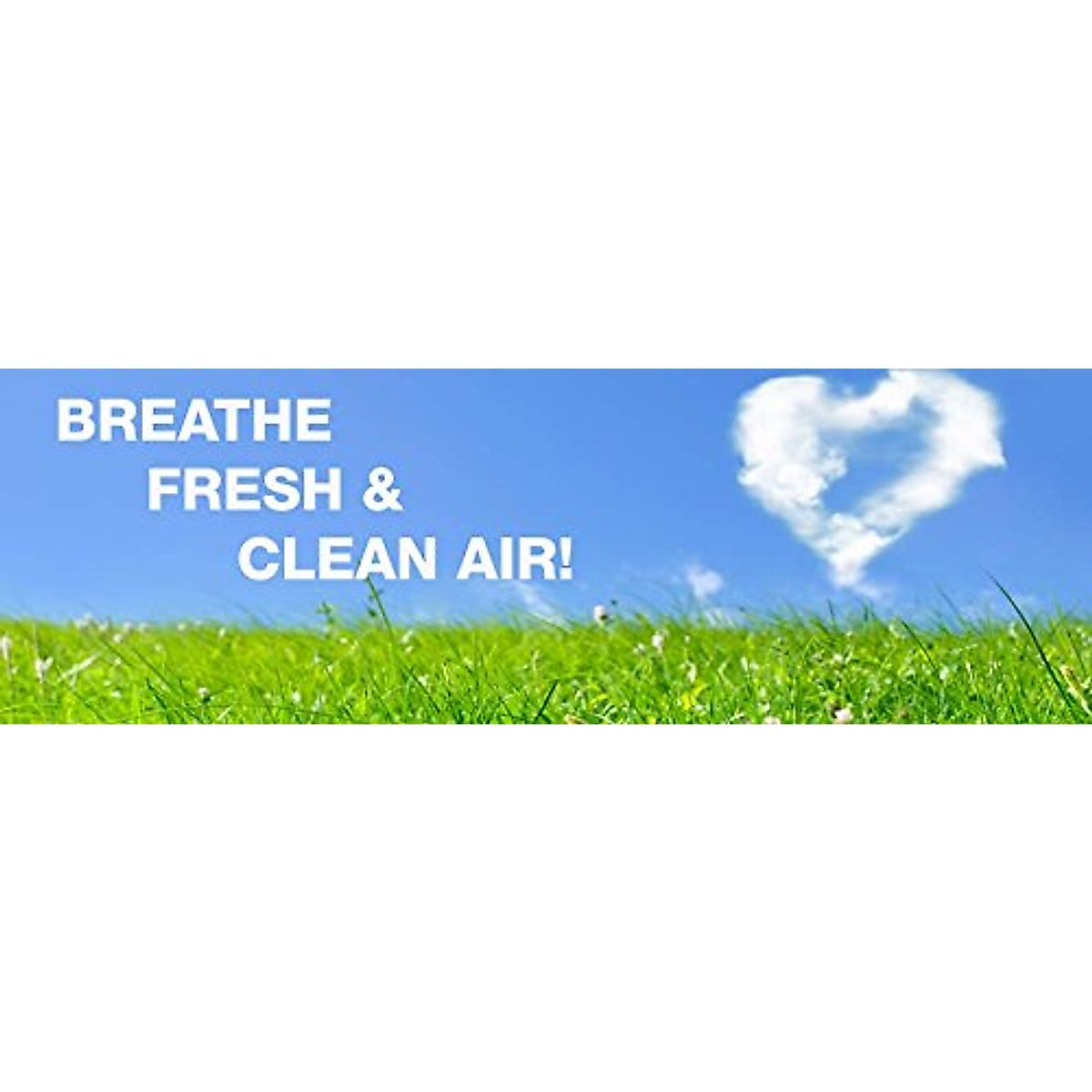 Fette Filter - Air Purifier True HEPA Filter F Compatible with Holmes HAP769. Compare to Part # HAPF700 (2 Pack)
