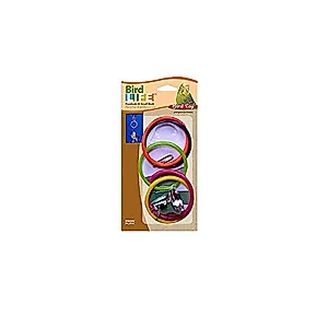 Penn Plax PP90281 Bird Life Super Olympic Rings & Bell