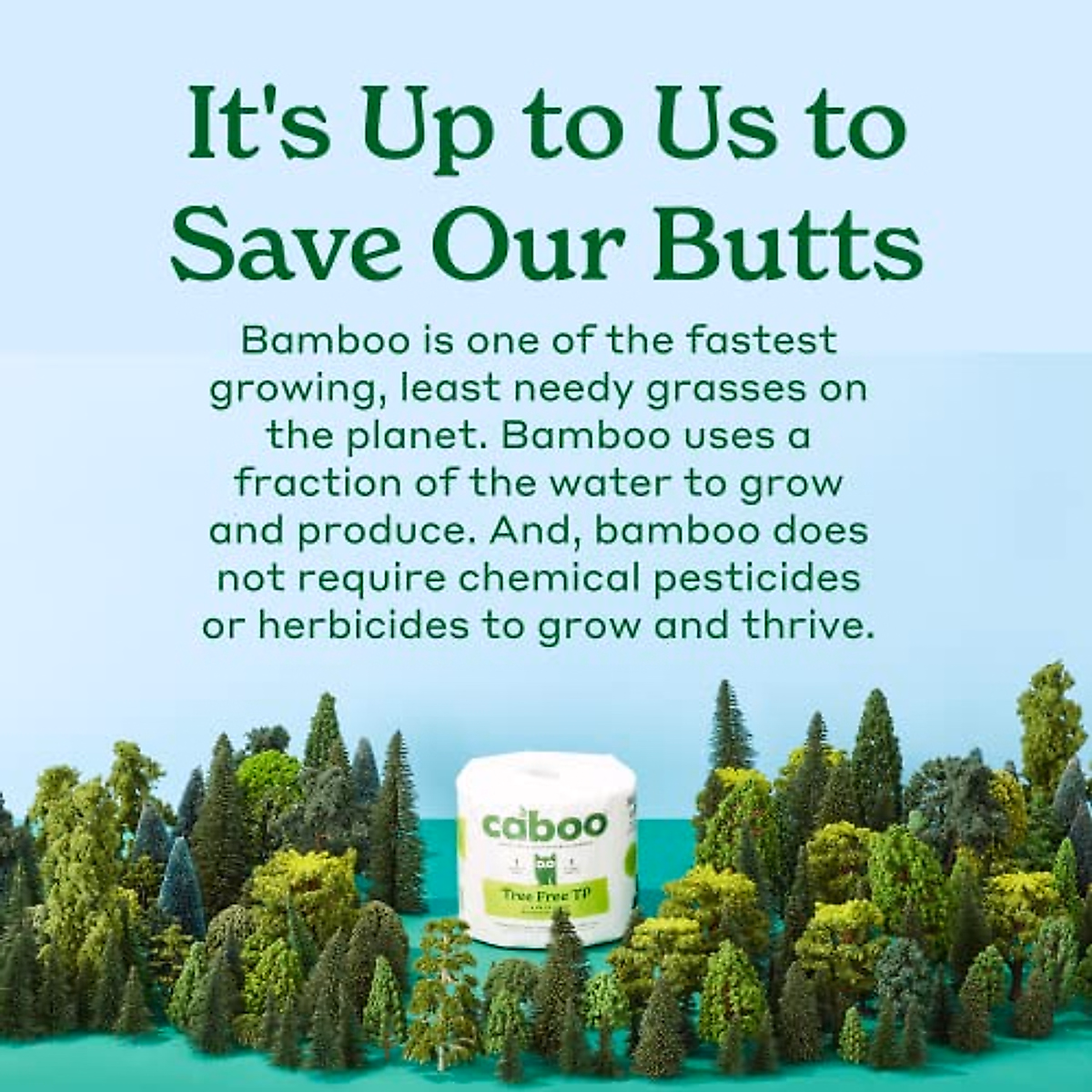 Caboo Tree Free Bamboo Paper Towels, 8 Rolls, Earth Friendly Sustainable Kitchen Paper Towels with Strong 2 Ply