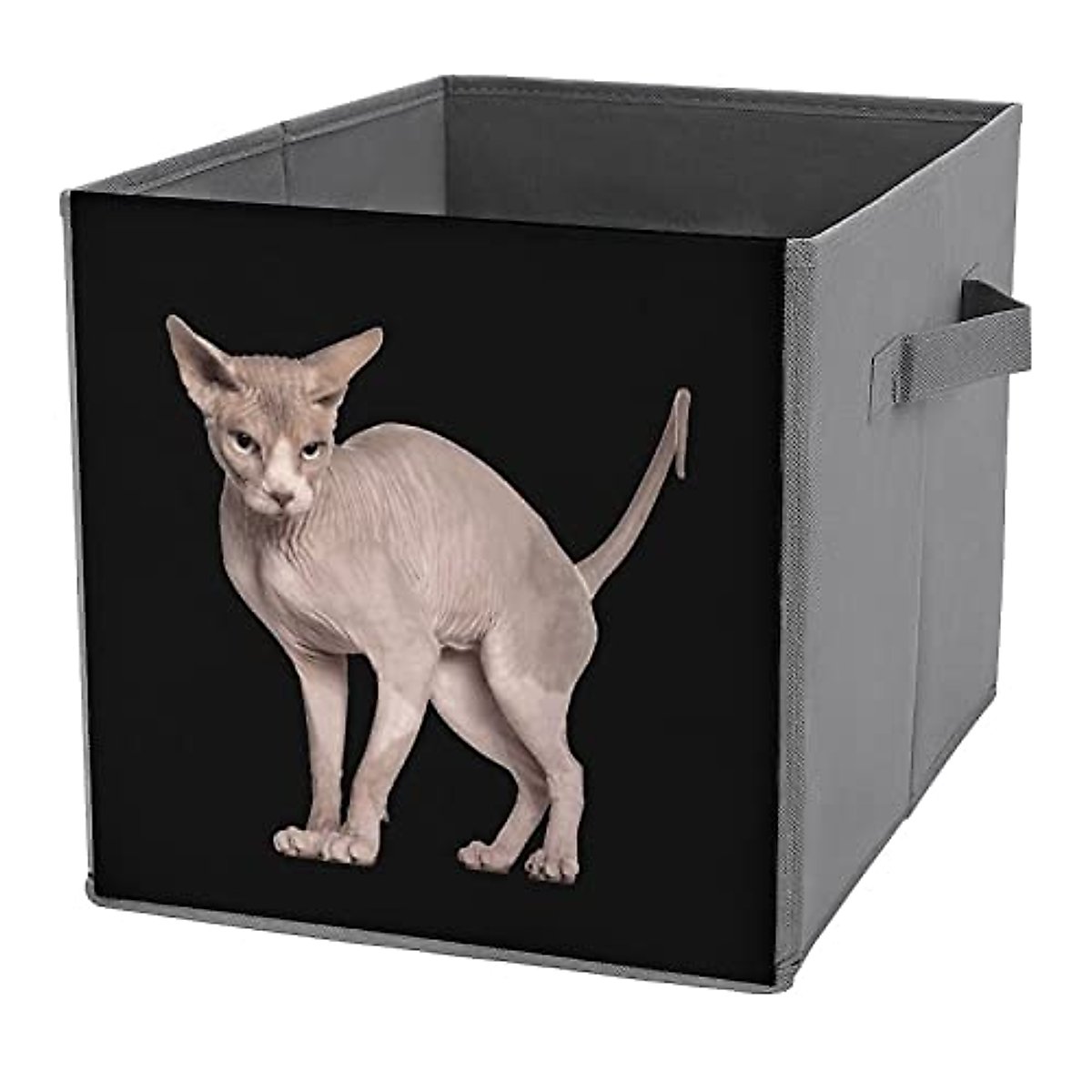 Hairless Sphynx Cat Collapsible Storage Bins Basics Folding Fabric Storage Cubes Organizer Boxes with Handles