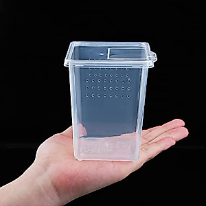 5 Pack Spider Terrariums Breeding Box Insect Hatching Container Acrylic Breeding Box for Arboreal Spider Tarantula Mantis Scorpion Centipede Small Reptiles