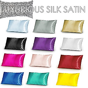 TAOSON Silky Soft Satin Solid Cushion Cover Pillow Cover Pillowcase Pillow Sofa Throw with Hidden Zipper Closure Only Cover 18x18 Inch 45x45cm-White