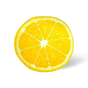 Lemon Slice Round Fleece Throw Blanket | 60 Inches