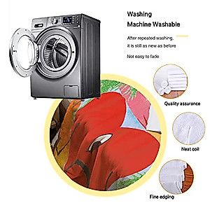 Haidguiin Throw Blankets Cute Blanket Bedding Blankets Sofa Blankets Flannel Blankets Air Conditioning Blanket Fans Gifts