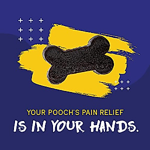 PupGrade Joint Support Supplement for Dogs - Natural Glucosamine Chondroitin & MSM Soft Chews for Hip and Joint Pain Relief - Recommended for Hip Dysplasia, Arthritis & Joint Disease - Made in USA