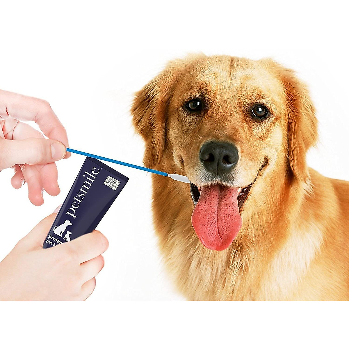 Petsmile Professional Pet Toothpaste Applicator Swabs | Easily and Effectively Spreads Dog Toothpaste to Promote Oral Hygiene | Dental Care for Pets | VOHC Approved Brand