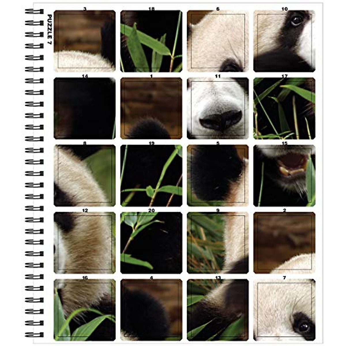 Brain Games - Sticker by Number: Zoo Animals (Easy - Square Stickers): Create Beautiful Art With Easy to Use Sticker Fun!