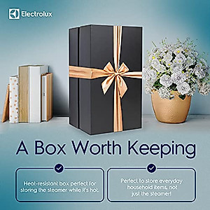 Electrolux Portable Handheld Garment and Fabric Steamer 1500 Watts, Quick Heat Ceramic Plate Steam Nozzle, 2 in 1 Fabric Wrinkle Remover and Clothing Iron, with Fabric, Lint Brush, and Steam Nozzle