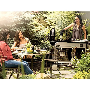 Weber Performer Premium Charcoal Grill, 22-Inch, Black