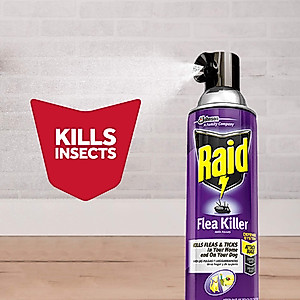 Raid Flea Killer, Kills Fleas, Crickets, Roaches, Silverfish and Ticks, Use in Your Home or on Your Dog (1 Pound (Pack of 6))