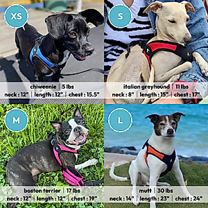 Gooby Turquoise X-Small Easy Fit Harness - No Pull Patented Design for Small Dogs with Quick Release Buckle