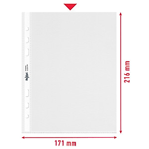 Rexel Ecodesk A5 Punched Pockets, Pack of 30, 100% Recyclable, Made of 80% Recycled Material, Eco Friendly, Embossed mat Surface, 2102579, Clear