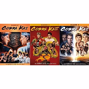 Cobra Kai - Season 1 2 3 & 4 [DVD 3-Pack]