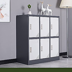 MAYROY Metal Locker Office Storage Locker Home Steel Locker School Storage Organizer, Storage Cabinet for Kids Students Employee (Gray, W6D)