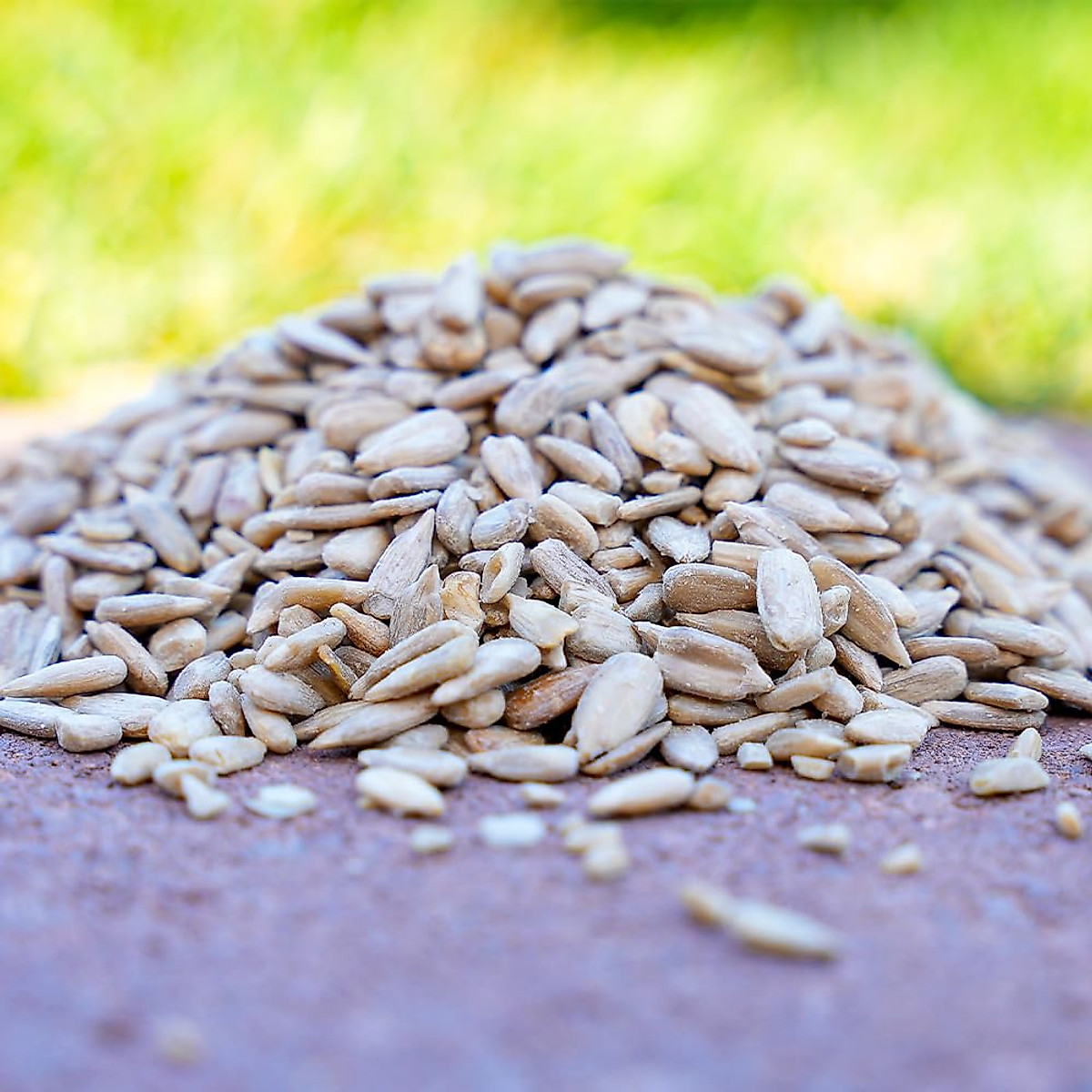 Desert Valley Sunflower Hearts and Chips Seed, All Natural, Non-GMO Premium Wild Bird and Wildlife Food (3 Pounds)