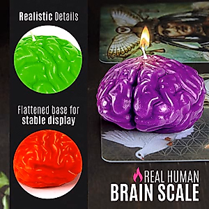 GAVIA Brain Candles - Scented Halloween Candles - Gothic Decor - Skull Decor - Gothic Candle Holder - Spooky Candle Holder - Gothic Home Decor - Spooky Gifts - Goth Room Decor - Pink & Purple