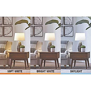 EcoSmart 40-Watt Equivalent A15 Dimmable Frosted Glass Filament Vintage LED Light Bulb in Soft White (6-Pack)