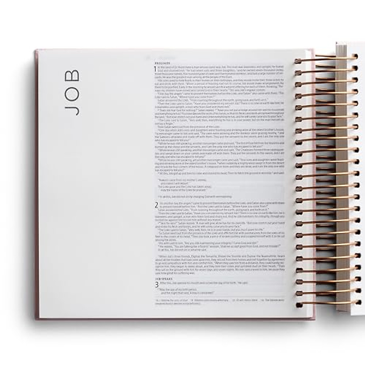 Illustrating Bible NIV - Spiral Bound Bible Journal, Pink