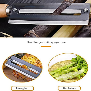 LANGCA Planer Knife, Pineapple Sugarcane Peeling Knife, High Carbon Steel and Wood Straight Handle Anti-Slip Knife, Peeling Artifact