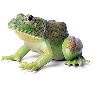 Gemini & Genius Tree Frog Realistic Hand Painted Toy Bullfrog Figurine Model Quality Construction Soft Rubber Animals Educational and Role Play Toys for Ages 3 and Up Kids