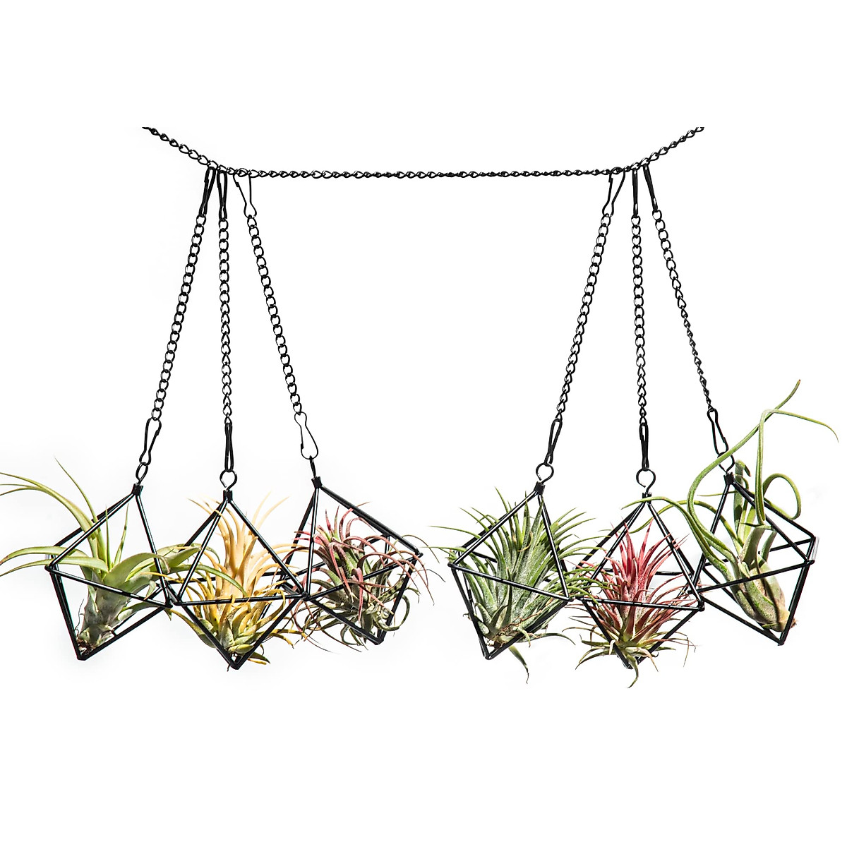 libproqia Small Air Plants Holders Black Hanging Airplants Hangers Iron Wire Airferns Display Frame Geometric Tillandsia Air Planter with Chains for Wall Mounted Himmeli Decor 6pcs(No Plants)