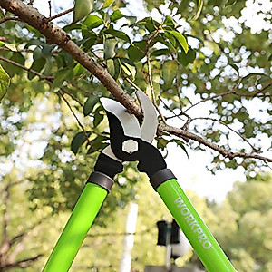 WORKPRO W151010 Limb and Branch Pruner Tool Set, Heat-Treated Steel (1 Set)