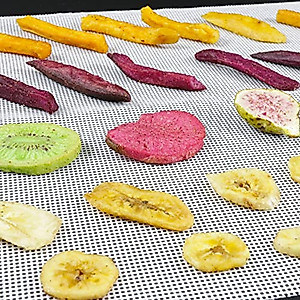 Auroal 10 Pack Silicone Dehydrator Sheets, Apply to dehydrator & Freeze Dryer, Non Stick Dryer Mats, for Meat, Beef, Jerky, Herbs, with High Temperature Resistance Easy to Clean, Square 14x14 in