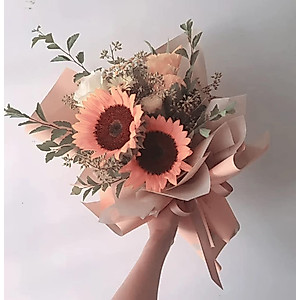 200pcs Pink Sunflower Seeds for Planting, Heirloom and Non-GMO Seeds, Bonsai Plant Office Home Garden Yard Floral Decor Easy to Plant and Grow (Helianthus annuus)