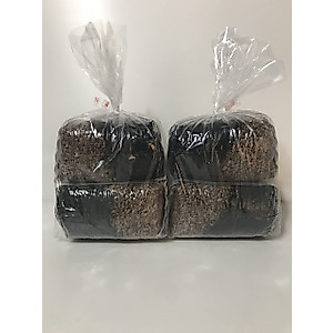 Mushroom Grow Kit - Magic All in One Mushroom Grow Bags - 4 Pack