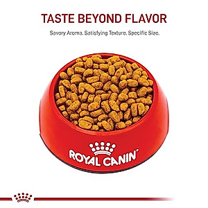 Royal Canin Maltese Adult Dry Dog Food, 10 lb bag