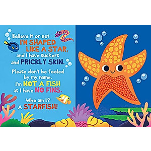 Under the Sea - Silicone Touch and Feel Board Book - Sensory Board Book