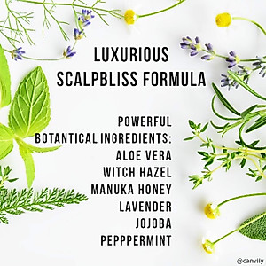 Canviiy ScalpBliss Itch-Calming Serum, Long-Lasting Soothing Scalp Moisturizer for Dry itchy Scalp, Enriched with Aloe Vera, Witch Hazel, Manuka Honey and Peppermint Oil (Organic Based)