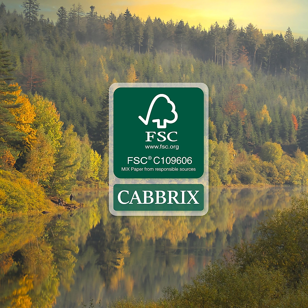 Magnetic Calendar for Fridge, Cabbrix Fridge Calender Runs From Jan 2023 - Jun 2024, Refrigerator Calendar 15 x 12 Inches for Planning and Organizing Your Life