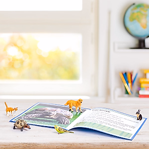 Stages Play Builder: Pets Plastic Animal Figures/Pet Animal Figurines Toys and Fun Facts Book from The Makers of Language Builder, Multi