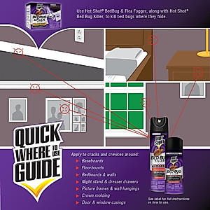 Hot Shot Bed Bug Killer, pack of 1, White