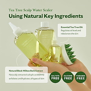 STEAMBASE Tea Tree Scalp Treatment | Purifies and Exfoliates Oily Scalp | Natural BHA & Tea Tree | Removes Odor & Buildup | Hypoallergenic Exfoliator, 8.42 fl oz