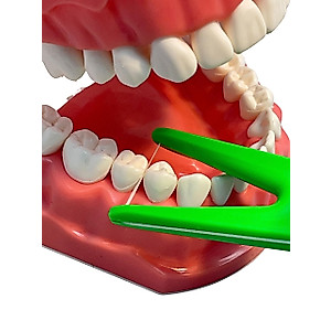 E-Z Floss Dental Floss Holder (Purple, Orange, Pink)