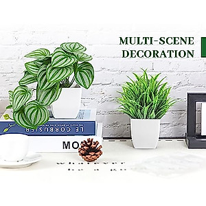 Der Rose Set of 2 Artificial Small Fake Plants for Home Living Room Bathroom Office Decor Aesthetic Indoor