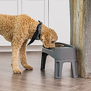 IRIS USA Large Elevated Pet Feeder with Attachable Legs and 2 Stainless Steel Bowls, For Small to Large Dogs Cats with 2 Quart Bowls and 12"H Legs Raised Pet Feeding Station, Dark Gray