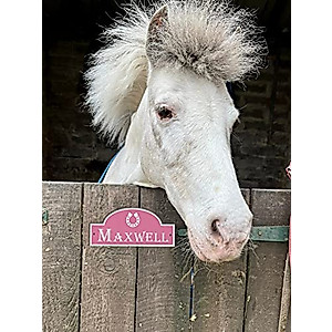 Acrylic Horse Stall Name Plate, 3.4" x 7.8" Personalized Stall Signs, UV Protected, Custom Pet Name Sign, All Weather Adhesive, Mounting (Printing-Colorful)