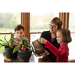 VYV Wellness LLC Self-Watering Terracotta Mushroom Planters - Automatic Plant Waterers for Potted & Hanging Plants - 6 Pack