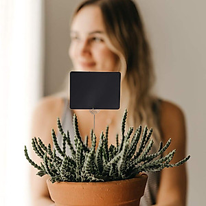 Ring Loop Round Shape Craft Wire Clip Table Card Holders Note Photo Picture Memo Holder for Party Birthday Office DIY Cake Topper Accessories Decoration,30 Pack Silver (Round Shape)