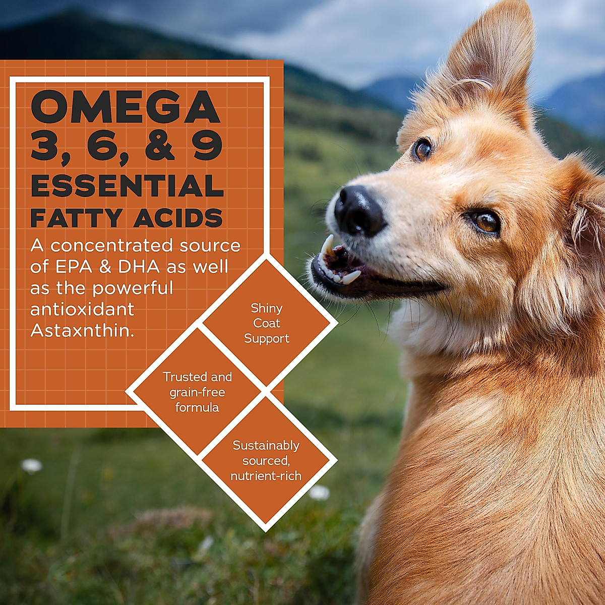 VetWELL Omega 3 Supplement for Dogs with Antarctic Krill Oil, Astaxanthin, Omega 3 6 9, EPA, DHA for Amazing Skin and Coat (60 Count)